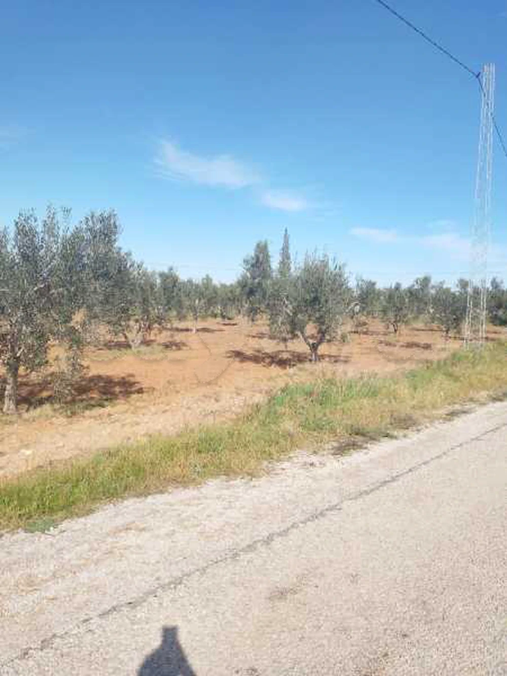 قطعة أرض | Tayara